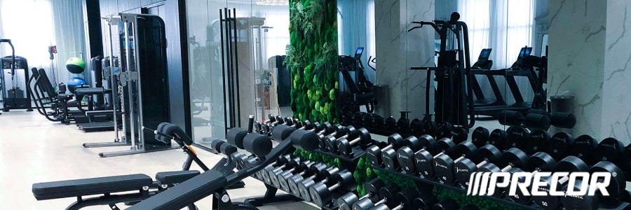 Fitness Giants: Top Brands for Quality Equipment Insights